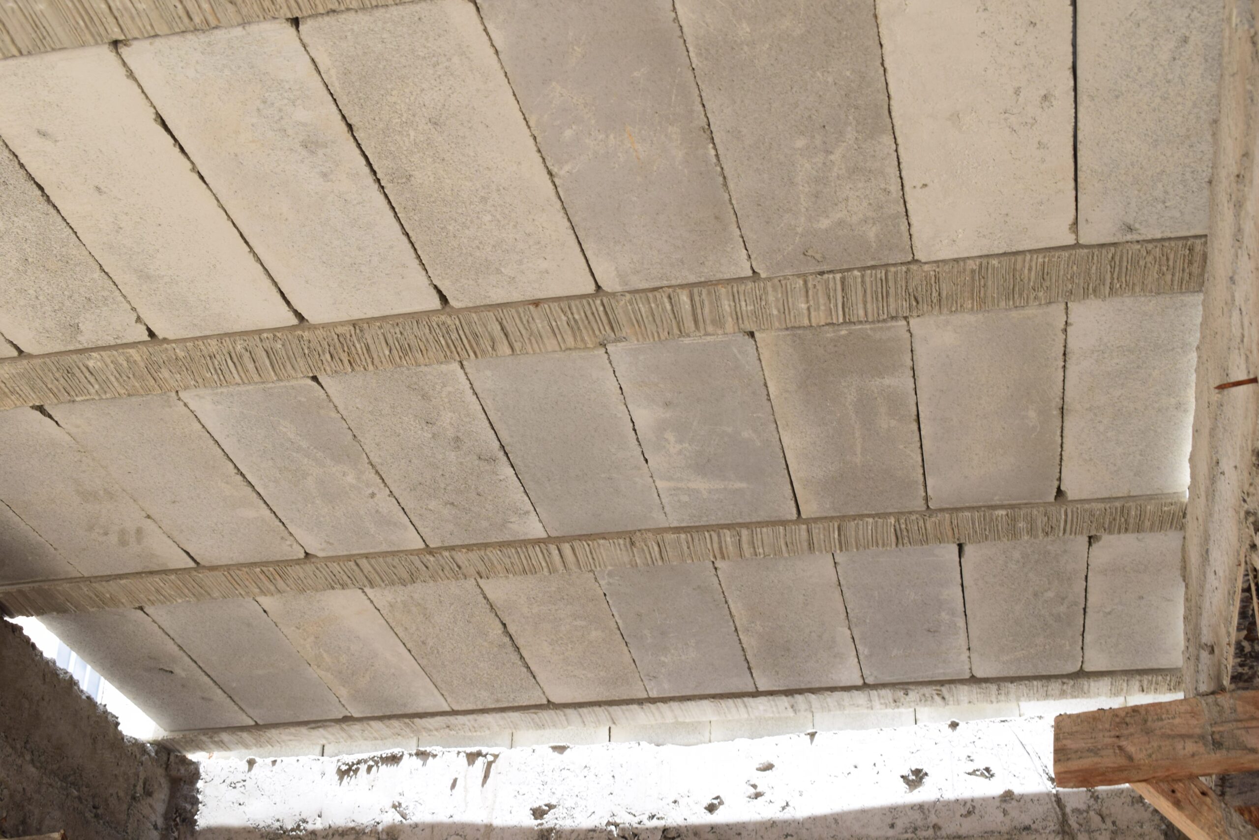 SPC Flooring - Strut & Mac